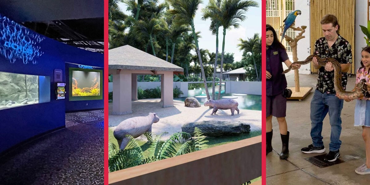 Aquarium & Zoo Exhibit Design: 4 Examples of Effective Interactive ...